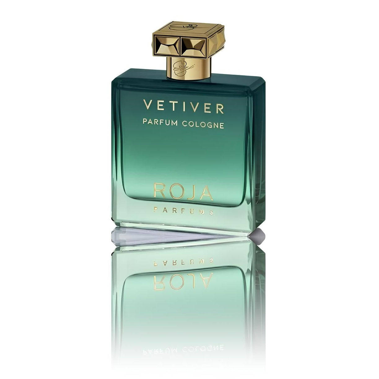 Roja Parfums Vetiver EDC M 100 ml – N1 Home